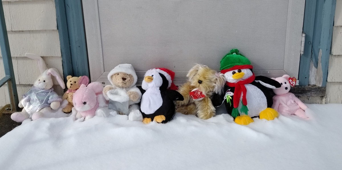 Crying Over Stuffed Animals | My Window on God's World